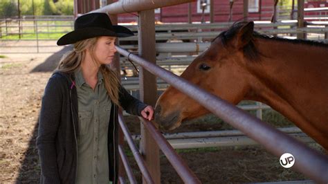 Heartland Amys Night Mare