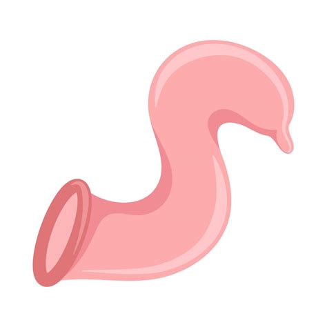 Funny Cartoon Condom Barrier Method Of Contraception 50527138 Vector