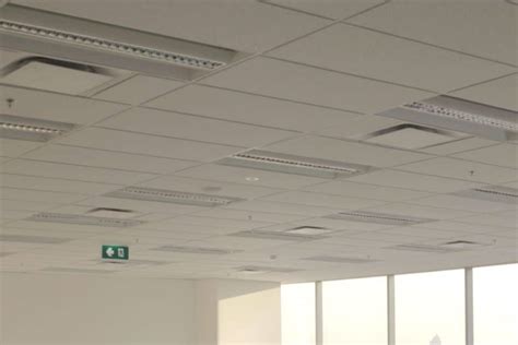 Can You Hang Plants From A Drop Ceiling