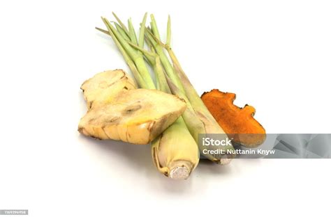 갈롱갈 심황 레몬 그라스는 흰색 배경에 고립 된 허브입니다 고해상도 이미지 갤러리 레몬 그라스에 대한 스톡 사진 및 기타 이미지 레몬 그라스 생강 0명 Istock