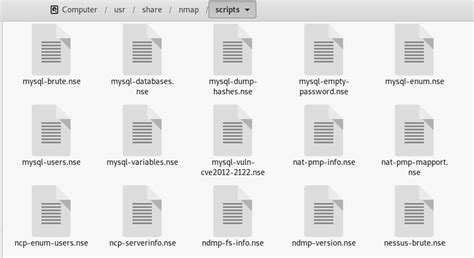 Remote Exploitation Part 0010 Mysql