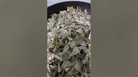 Ginataan Laing Sahog Tulingan Prito Youtube