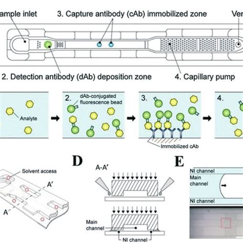 Pmma Hybrid Microfluidic Devices For Immunoassays Of Viral Proteins Download Scientific