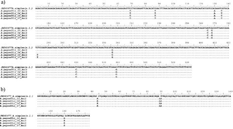 Nucleotide And Amino Acid Sequence Alignment Of Apeg 1 Cdna A