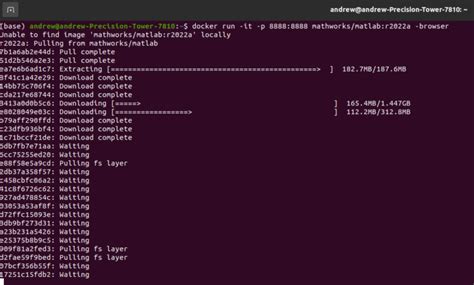using matlab through docker case mri