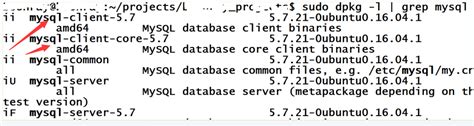 ubuntu重装mysql错误解决 不懂得小白 博客园