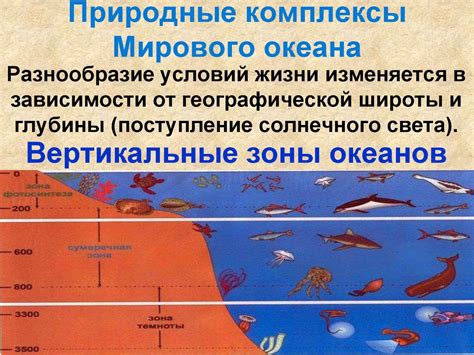 Разнообразие природы Земли Широтная зональность и высотная поясность презентация онлайн