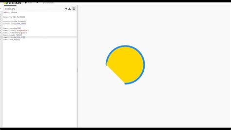 How To Draw An Oval In Python Turtle