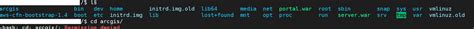 monthly linux tip getting started with an esri aws ami