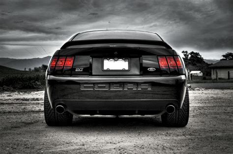 Terminator Cobra Wallpaper Wallpapersafari
