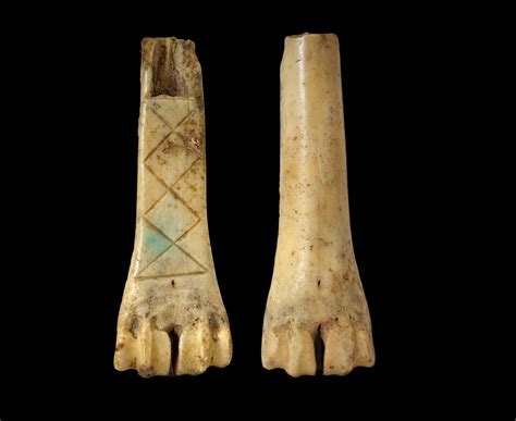 Apple Corer Cheese Scoop Virtual Museum