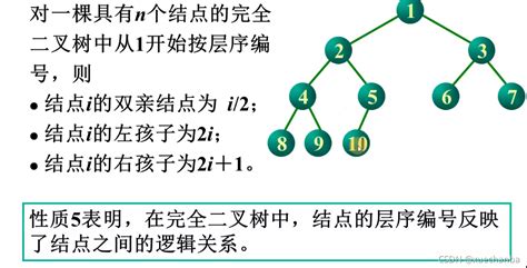 二叉树的逻辑结构 Csdn博客