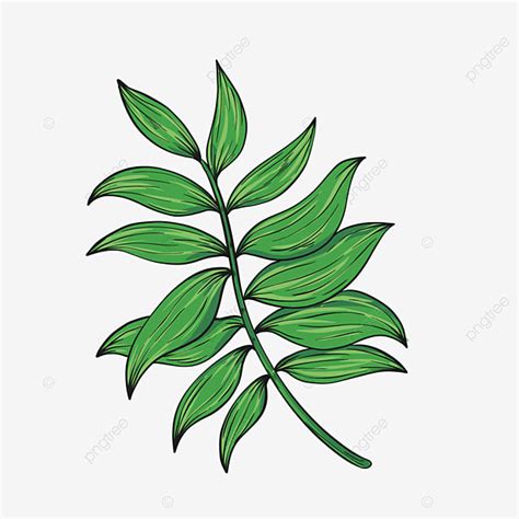 Desenho De Clipart Em Folha De Palmeira PNG Clip Art Em Folha De