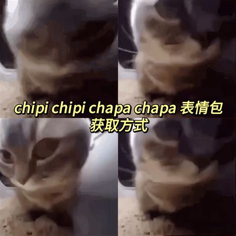 Chipi Chipi Chapa Chapa表情包游戏 抖音