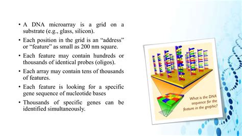 Dna Microarray Technology For Principle Of Drug Discovery Ppt