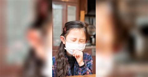 Apa Itu Pneumonia Ketahui Penyebab Faktor Risiko Serta Gejalanya