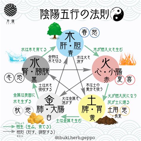 陰陽五行の法則／蒸し用ハーブ／五行ブレンド 月蓬