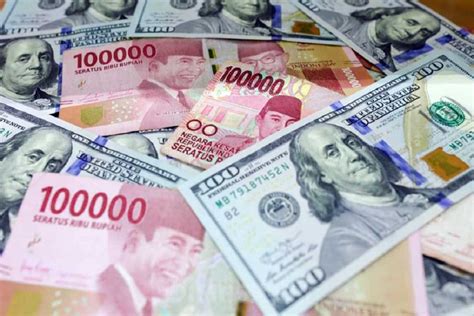 Apa Itu Cadangan Devisa Definisi Tujuan Bentuk Dan Sumber