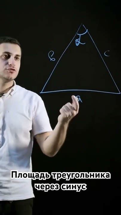 Кто может найти площадь треугольника через синус угла математика