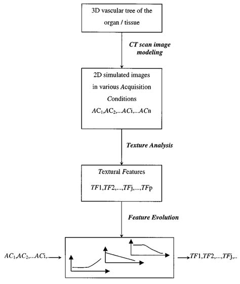 a framework to better understand textural feature variations