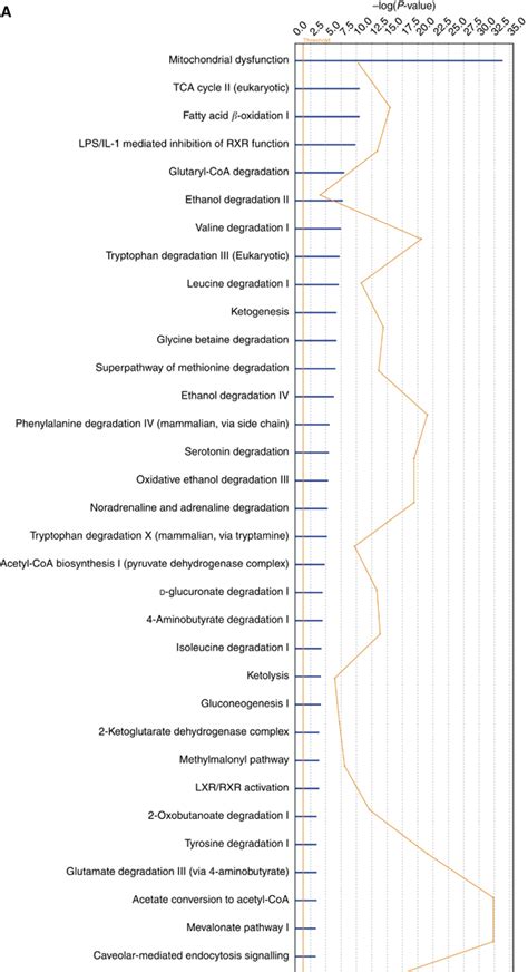 A Pathway Analysis Showing The Top Enriched Canonical Pathways The