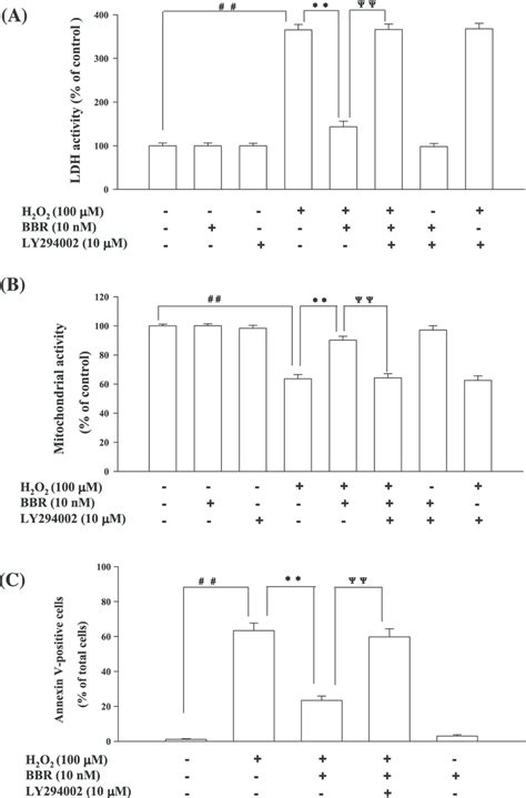 Ly294002 Attenuates Berberine Bbr Induced Protection On Cell