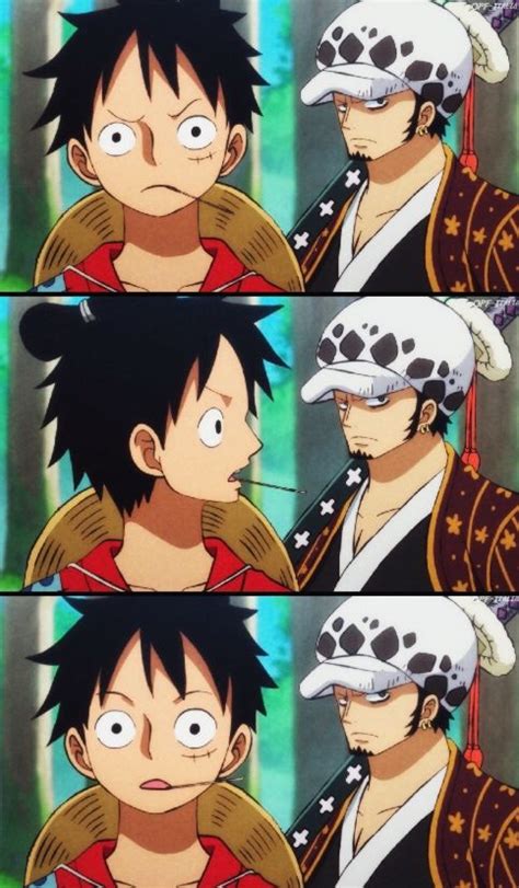 Pháp Lý Tàu Hải Tặc One Piece Những Bí Mật Bạn Chưa Từng Biết Click