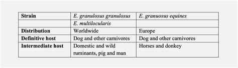 Echinococcosis Echinococcus Granulosus And Multilocularis
