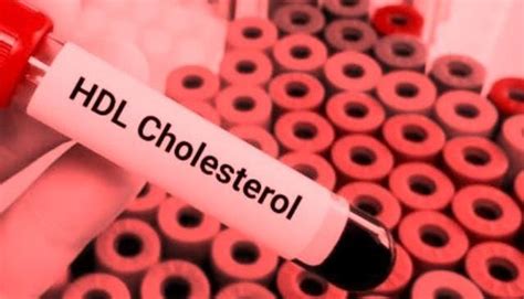 O “bom” Colesterol E Suas Surpreendentes Virtudes Ii De Ii