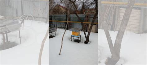 Ульи для пчел купить в Тюмени Животные и зоотовары Авито