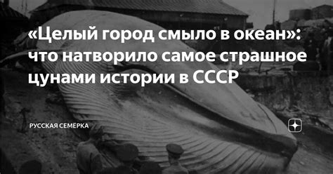 «Целый город смыло в океан что натворило самое страшное цунами истории в СССР Русская