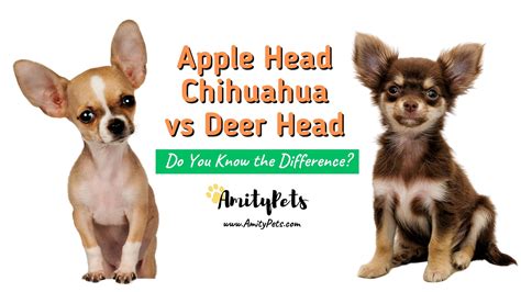 Who Is Applehead At Oliver Parker Blog