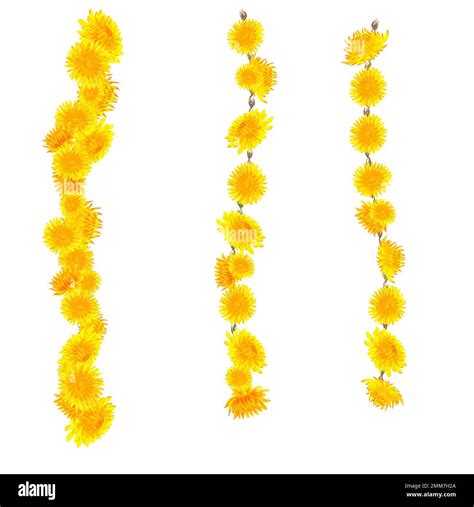 Hand Drawn Watercolor Floral Garlands A Part Of The Big Holi Set Of