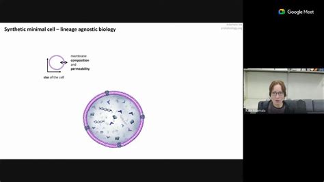 Biocomputing With Synthetic Cells Youtube