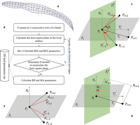 Schematic Diagram Of The D Leaf Shape Feature Parameter Calculation