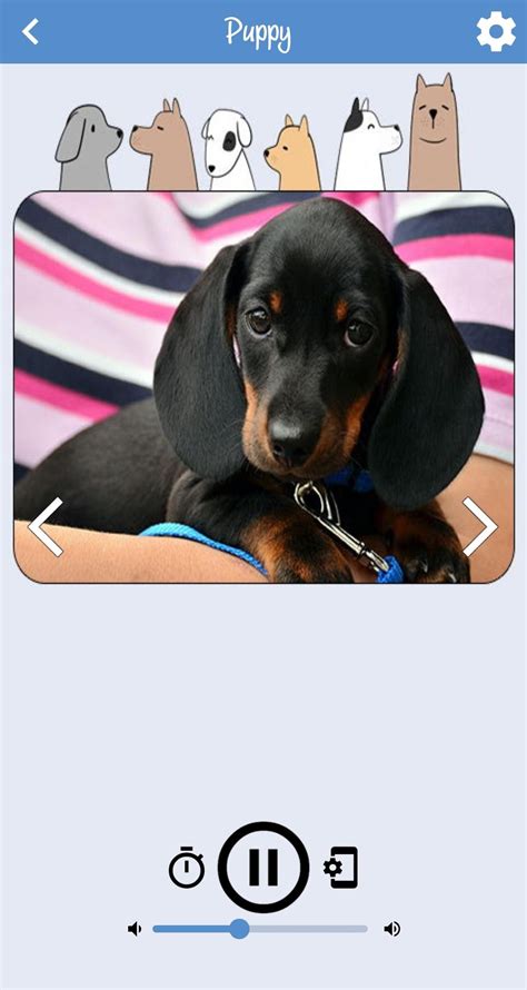 Dog Sounds For Android Download