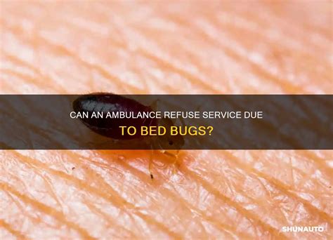 Can An Ambulance Refuse Service Due To Bed Bugs ShunAuto