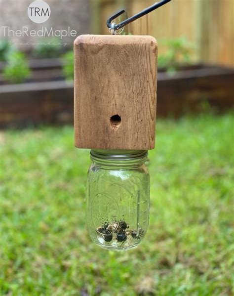 Cedar Carpenter Bee Trap Cedar Wood Destroying Insect Trap Wood Bee