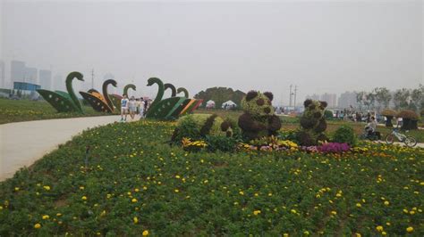 东营植物园路线图 东营植物园游览路线图 东营植物园游览图 第10页 大山谷图库