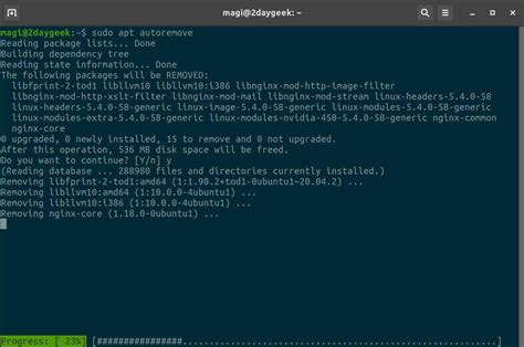 Difference Between Apt And Apt Get Command Daygeek