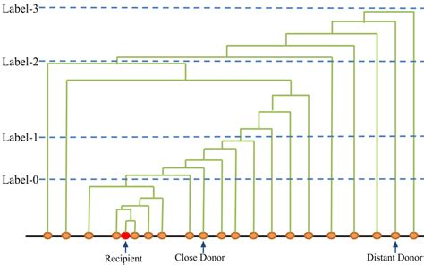 Labeled Agglomerative Cluster Download Scientific Diagram