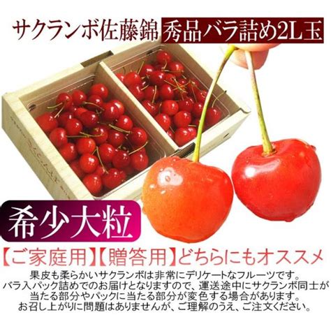 サクランボ 佐藤錦 秀品 山形県産 バラ詰め 2l玉1kg さくらんぼ 産地直送 ギフト 贈答用： 海と大地の直送便しいあすねっと店