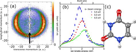A Measured Ion Momentum Distribution In Atomic Units A U Of H −