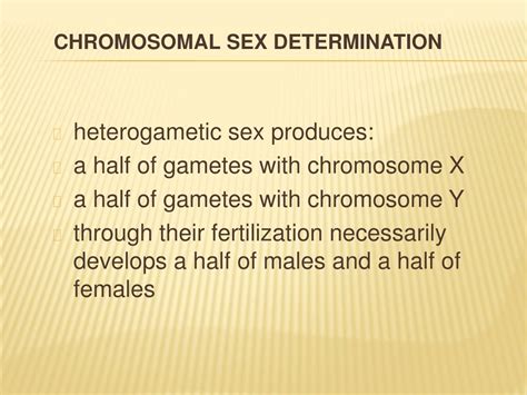 PPT 2014 PowerPoint Presentation Free Download ID 143054