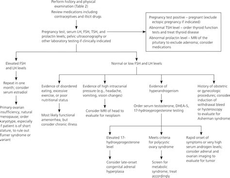 Amenorrhea Causes Symptoms Diagnosis Treatment