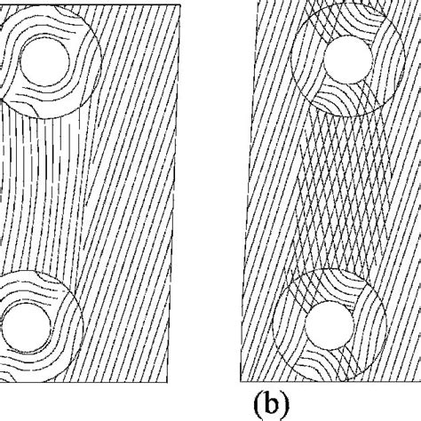 Two Proposed Patterns Of Microfibrils In The Vicinity Of Two Bordered Download Scientific