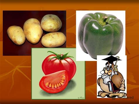 Презентация на тему Презентация к исследовательскому проекту «Наши друзья витамины для