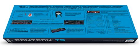PANTEON T5