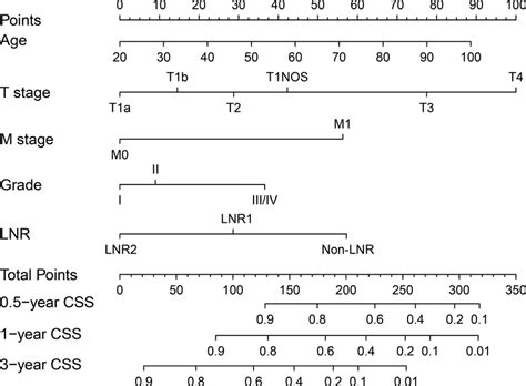 Nomogram Predicting 0 5 1 And 3year CSS For N0 GBC Patients The
