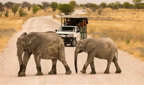 Safari I Serengeti Och Ngorongoro Afrikaresor